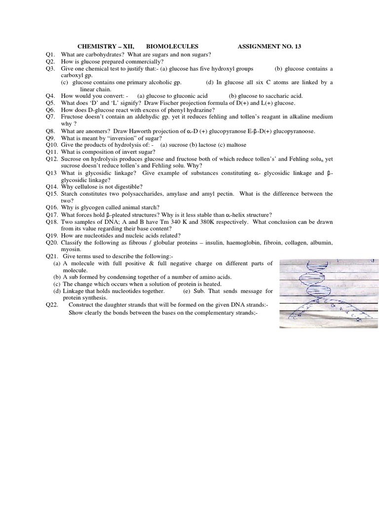 Class 12 Biomolecules Assignment | PDF | Glucose | Carbohydrates