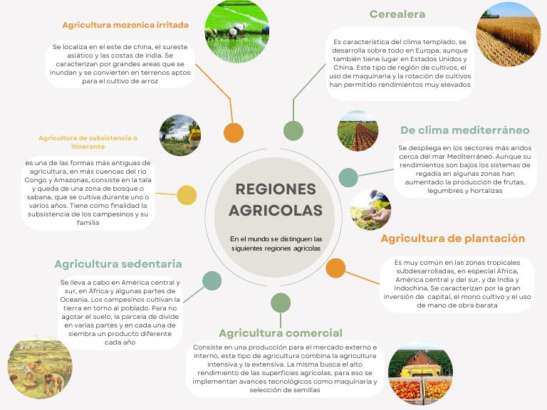 Colorful Calm Corporate Clean Mind Map | PDF | Agricultura | Industria de alimentos