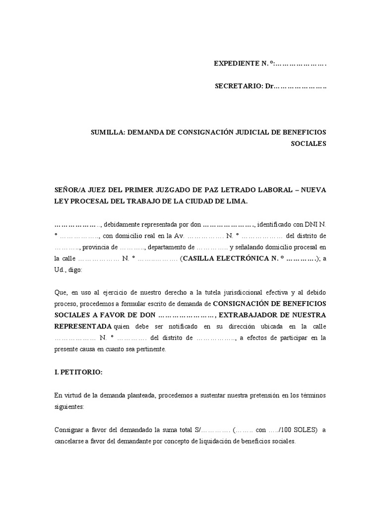 Liquidación de Beneficios Sociales | PDF | Demanda judicial | Ley procesal