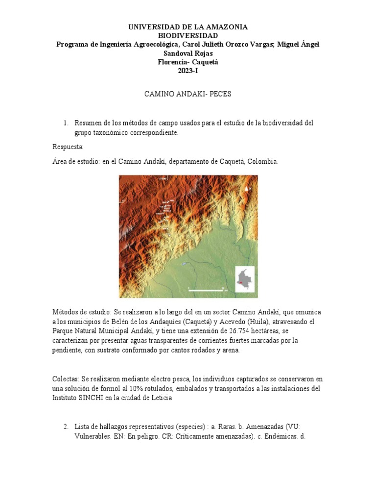 Camino Andaki Peces Carol Julieth Orozco Vargas | PDF | Taxa | Organismos