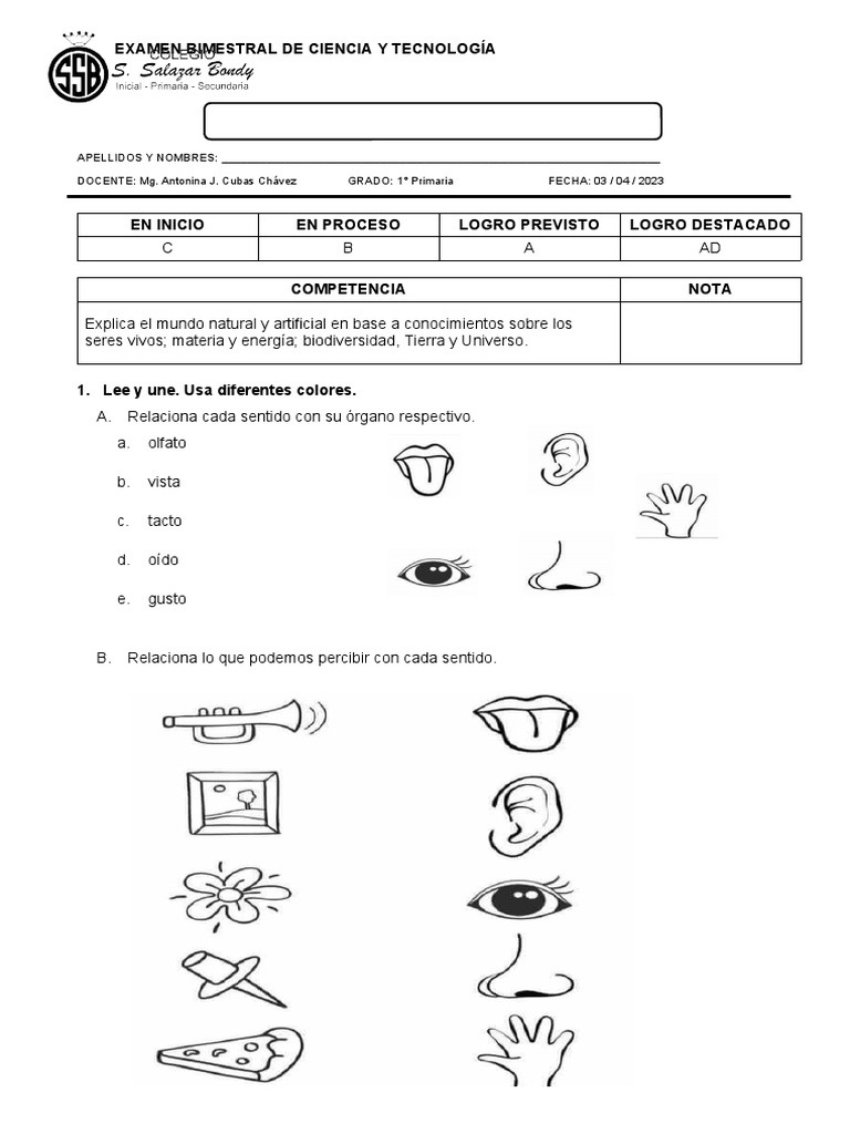Examen de Ciencias 1° Primaria | PDF | Color | Hueso
