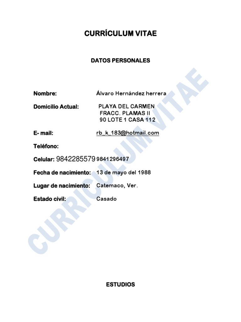 Currículum Vitae Alvaro | PDF