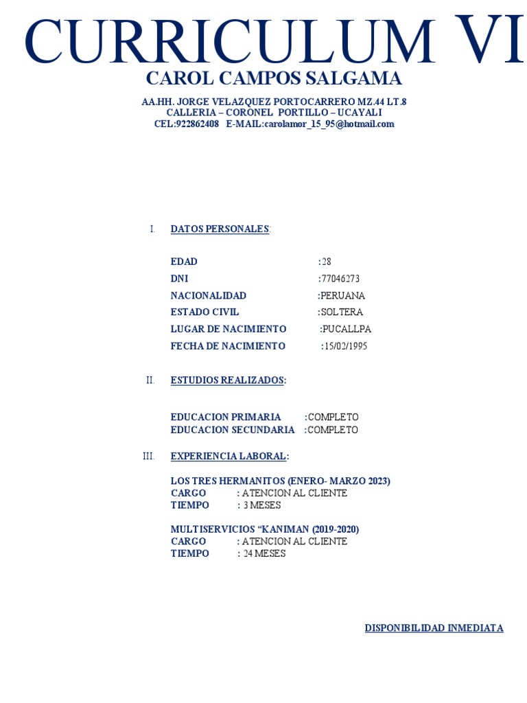 CV Abel Actualizado | PDF