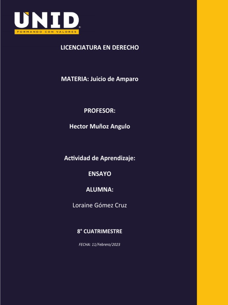 ENSAYO SOBRE LA NUEVA LEY DE AMPARO VIGENTE EN EL PAÍS | PDF | Caso de ... ENSAYO SOBRE LA NUEVA LEY DE AMPARO VIGENTE EN EL PAÍS | PDF | Caso de ...