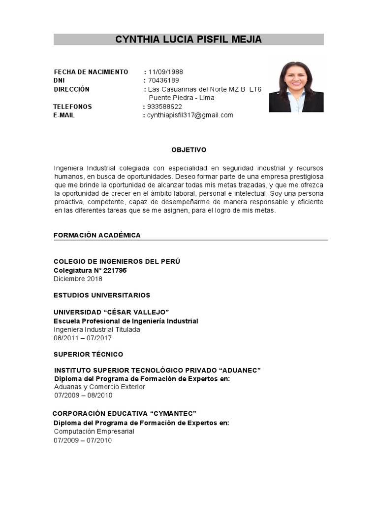 Curriculum Vitae - Cynthia Lucia Pisfil Mejía | PDF | Business