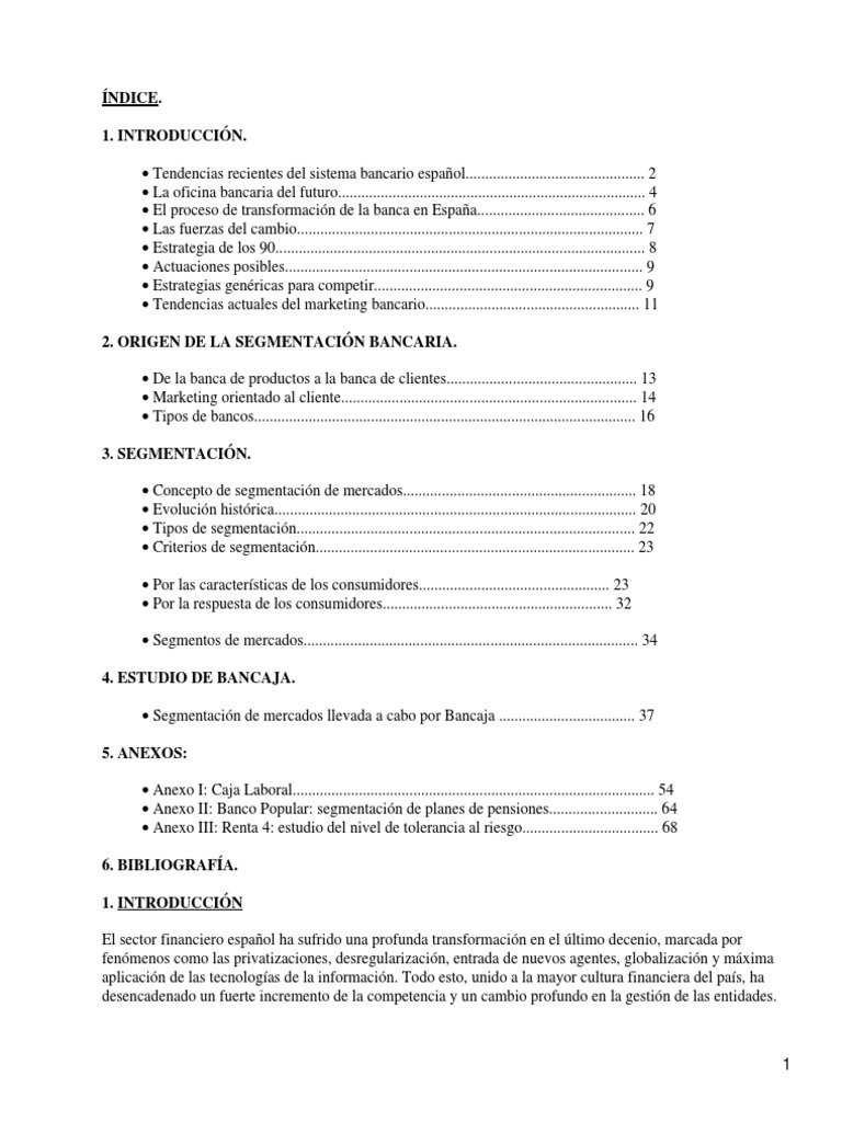 Segmentacion Bancaria | PDF | Marketing | Bancos