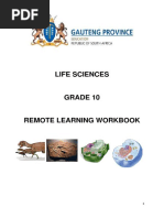 Geography Grade 10 11 Mapwork Notes | PDF | Contour Line | Topography
