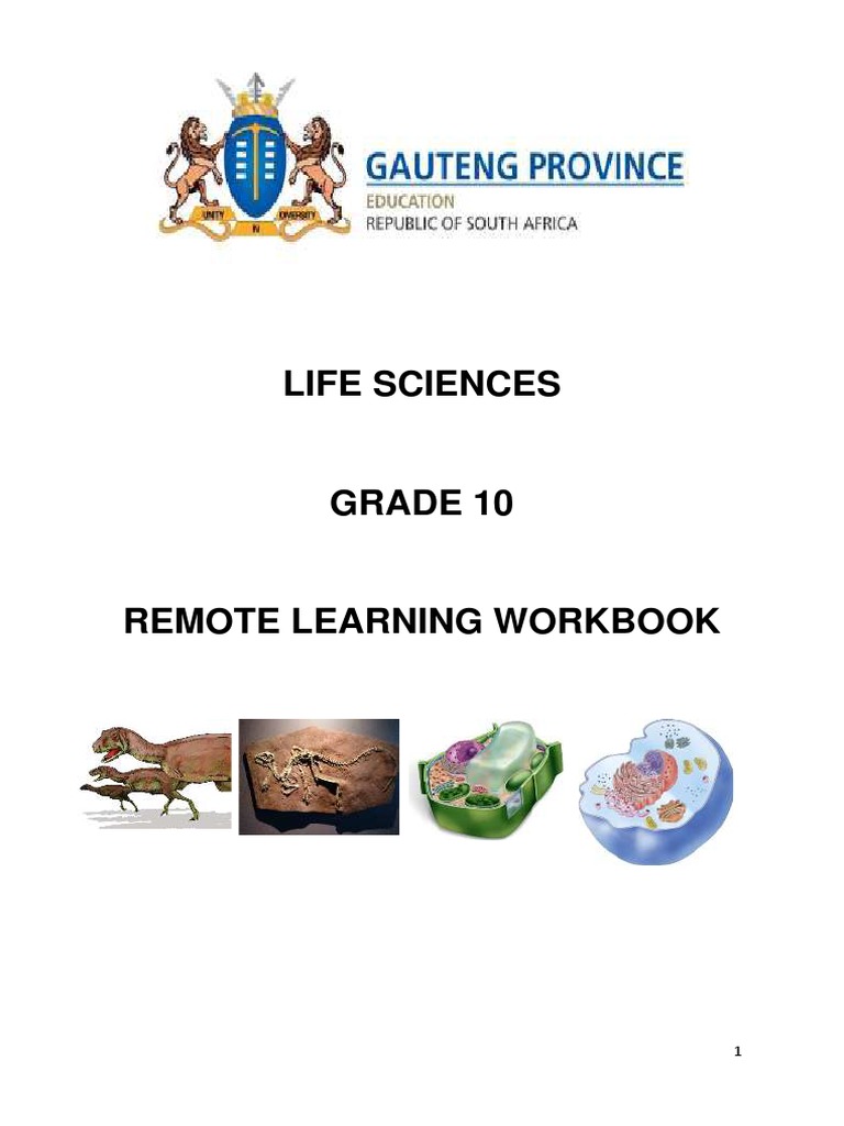 Gr.10 Remote Learning Workbook Term 2 | PDF | Carbohydrates | Enzyme