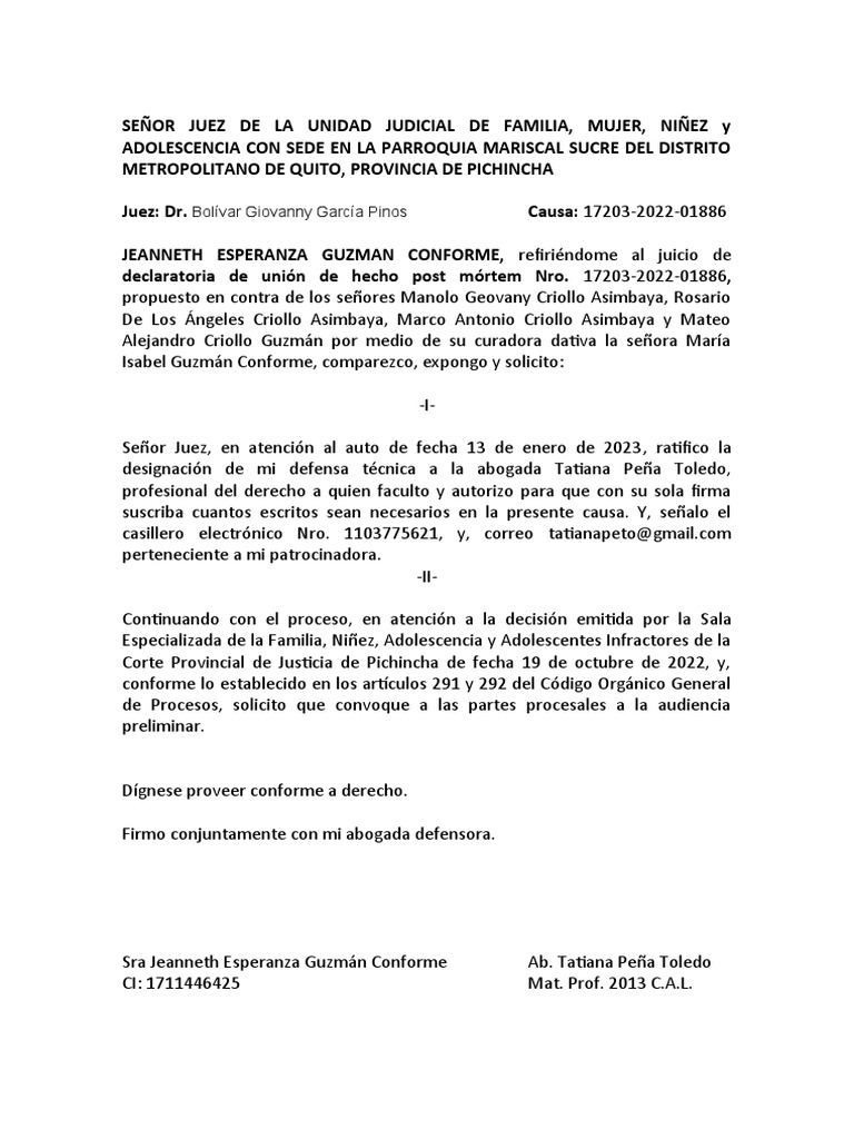 Solicitud De Audiencia Pdf