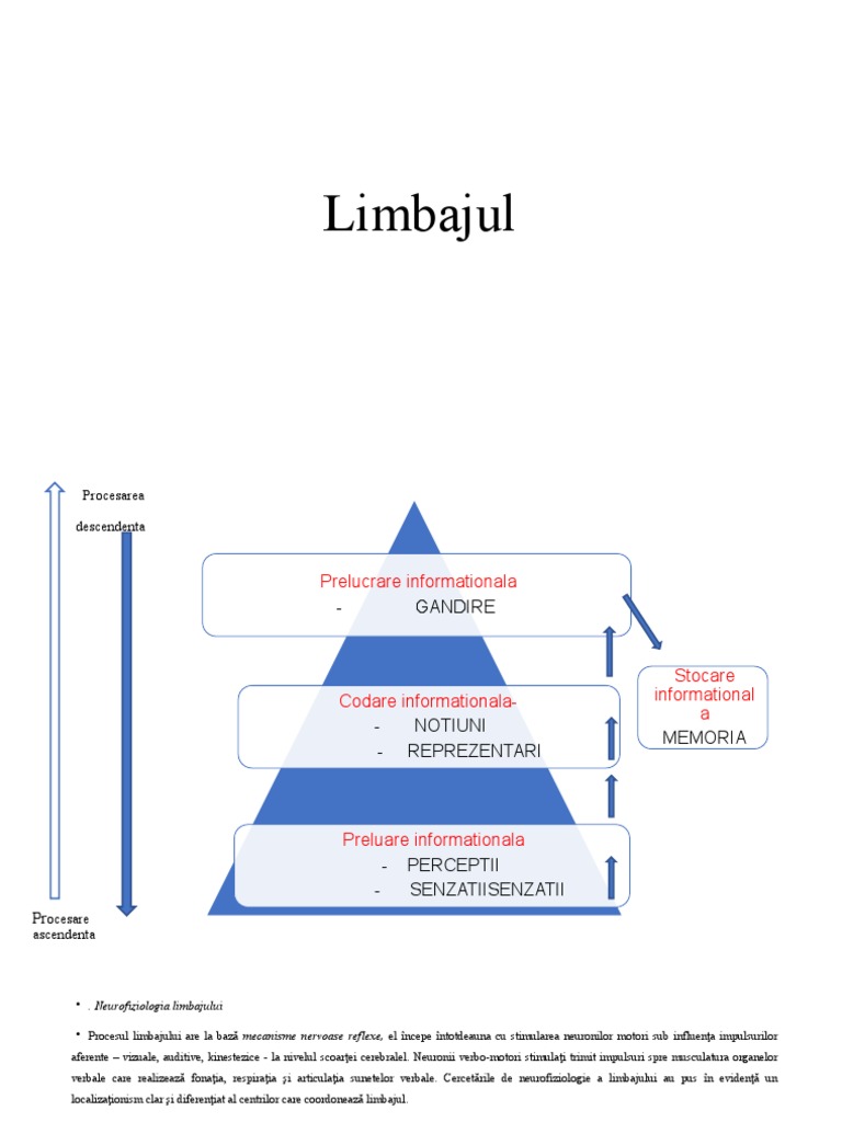 Limbajul | PDF