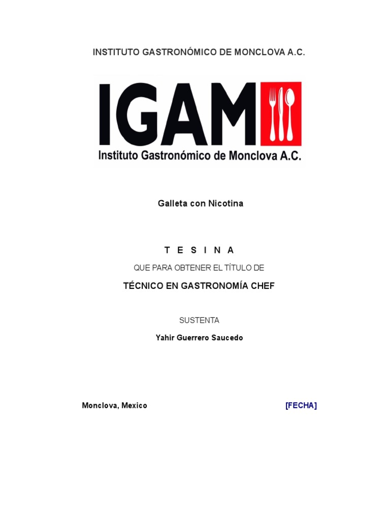 Tesina IGAM | PDF