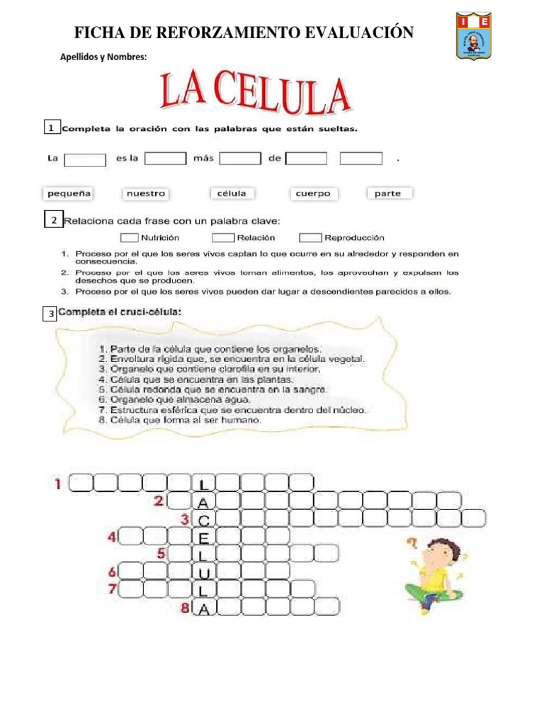 Ficha sobre Células Animal y Vegetal | PDF | Salud y bienestar