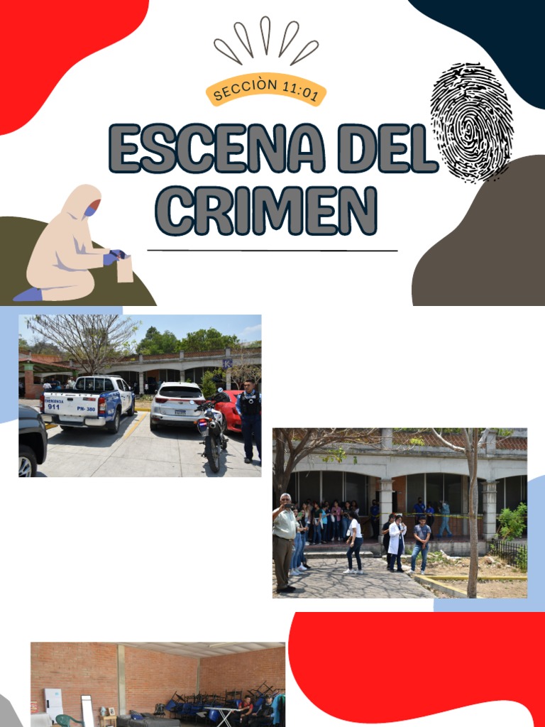 Escena Del Crimen Sección 1101 | PDF