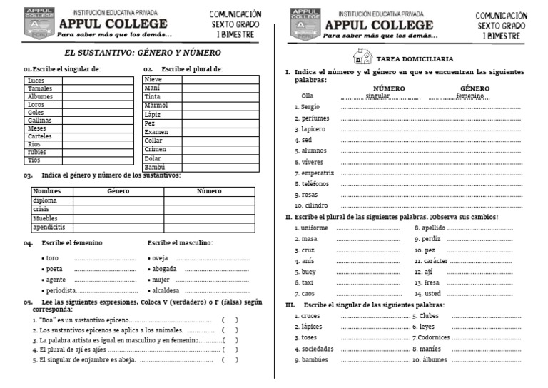 El Sustantivo-Genero y Número PDF | PDF