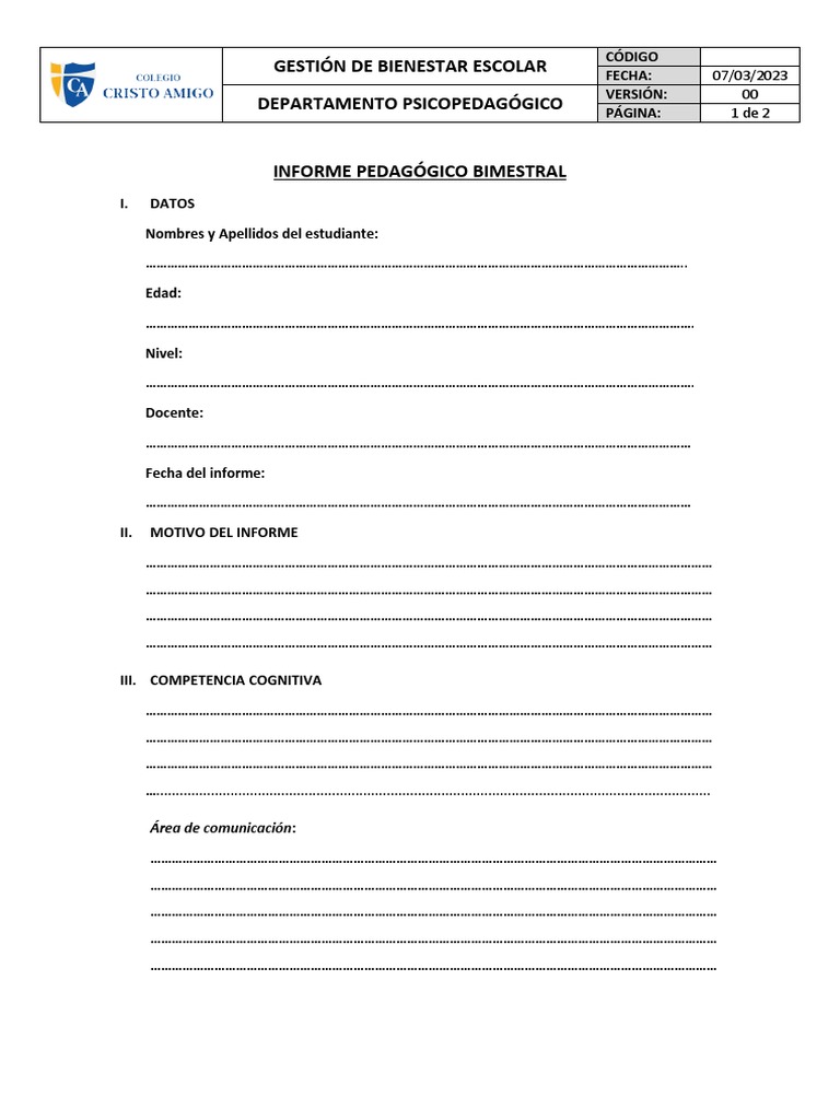 Modelo de Informe Bimestral - Completar | PDF