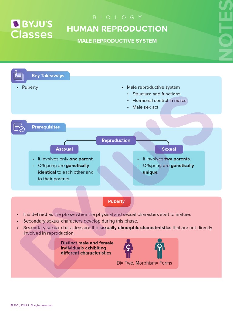 CBSE Class 12 Human Reproduction Study Notes1 | PDF | Labia | Ovary