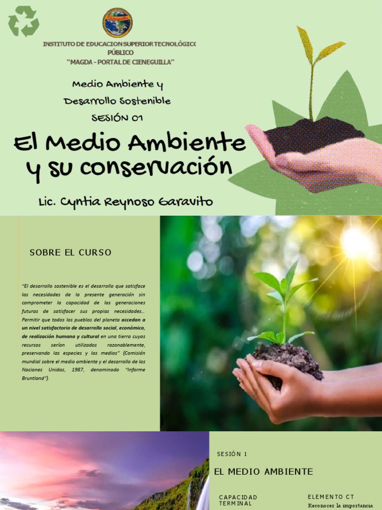 Importancia del Medio Ambiente y Sostenibilidad | PDF | Desarrollo ...