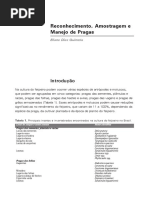 Inseticidas Epingle 100 Bula | PDF | Ferimento | Agricultura