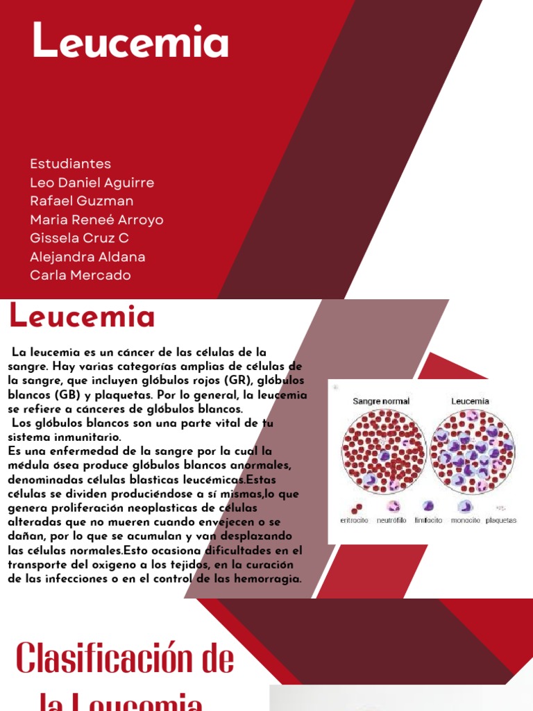 Leucemia | PDF | Leucemia | Leucocito