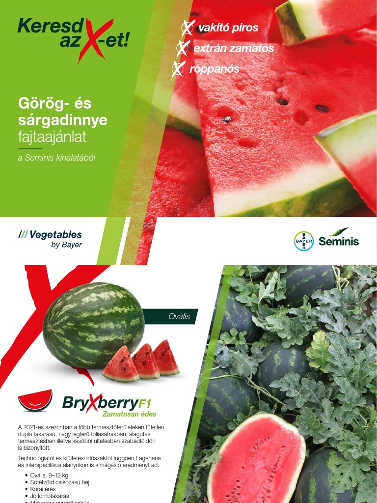 Seminis Dinnye Brosura 2022 Final | PDF