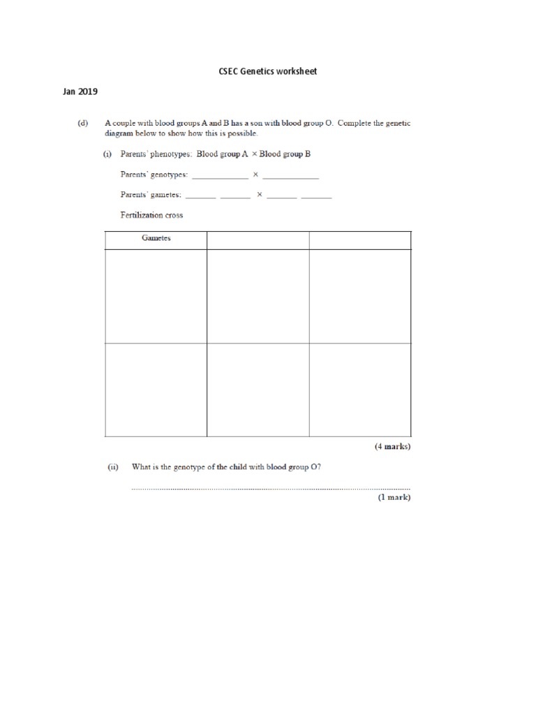 CSEC Genetics Worksheet | PDF