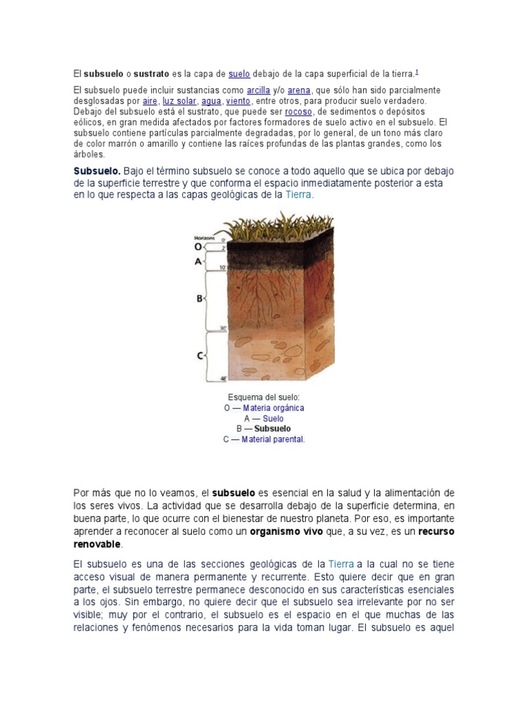 Importancia y características del subsuelo | PDF