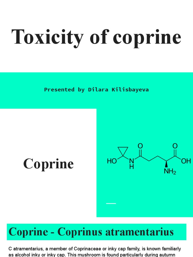 Toxicity of Coprine | PDF