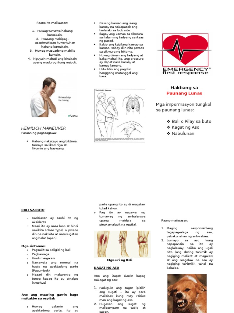 Pamphlet - First Aid | PDF