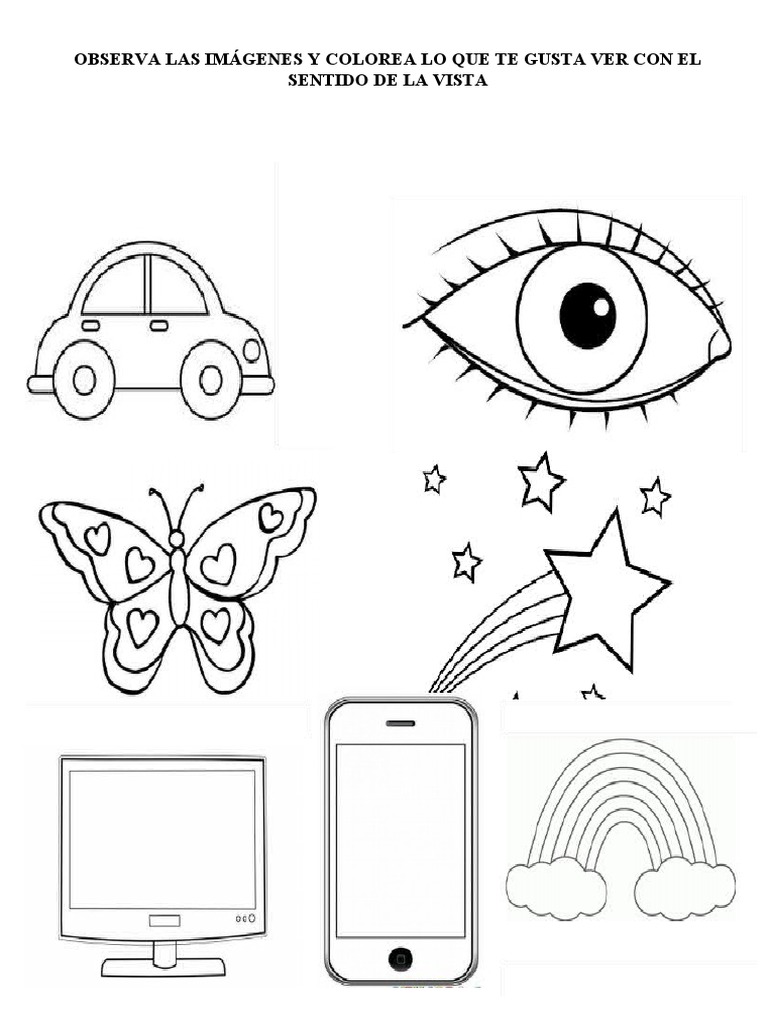 Fichas Del Sentido de La Vista | PDF