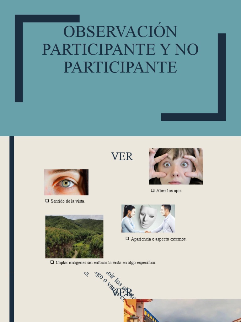 Ver Observar Mirar | PDF