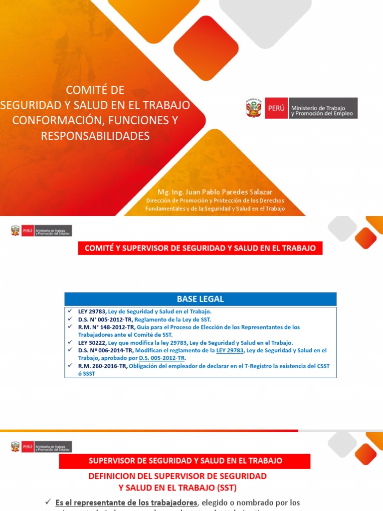 Funciones del Supervisor de SST | PDF | Gobierno