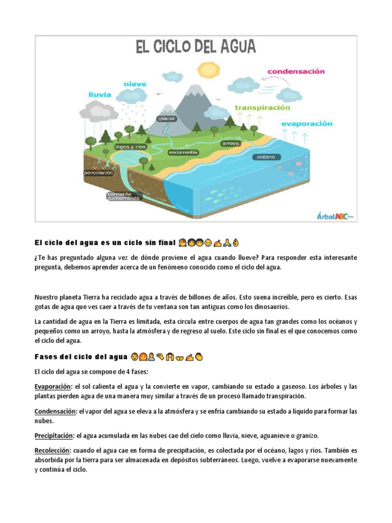 El Ciclo Del Agua Es Un Ciclo Sin Final | PDF
