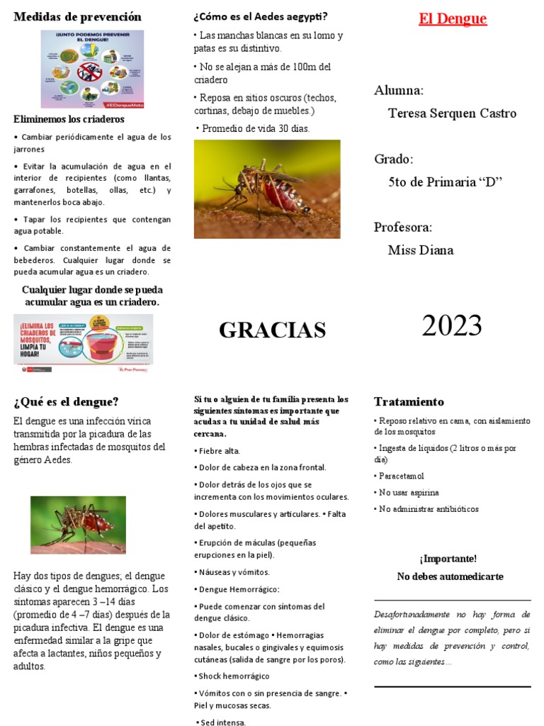 Tríptico de Prevención del Dengue | PDF | Salud pública | Causas de la ...