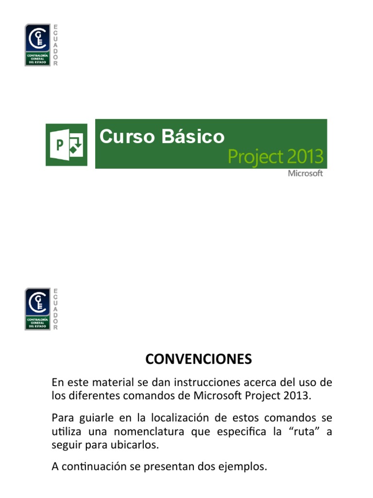 Guía Rapida de Project | PDF | Microsoft Office | Ventana (informática)