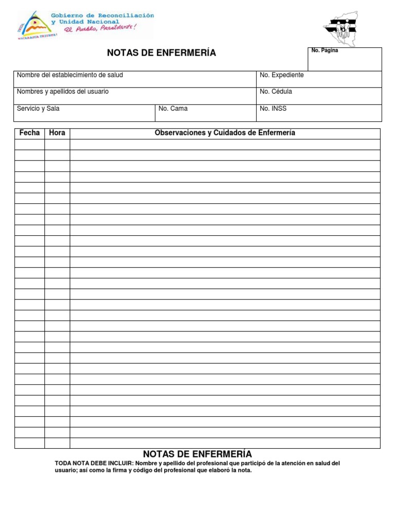 Nota de Enfermería | PDF