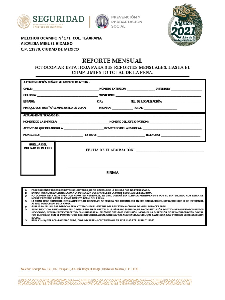 Formato de Reporte Mensual Condena | PDF | Justicia | Crimen y violencia