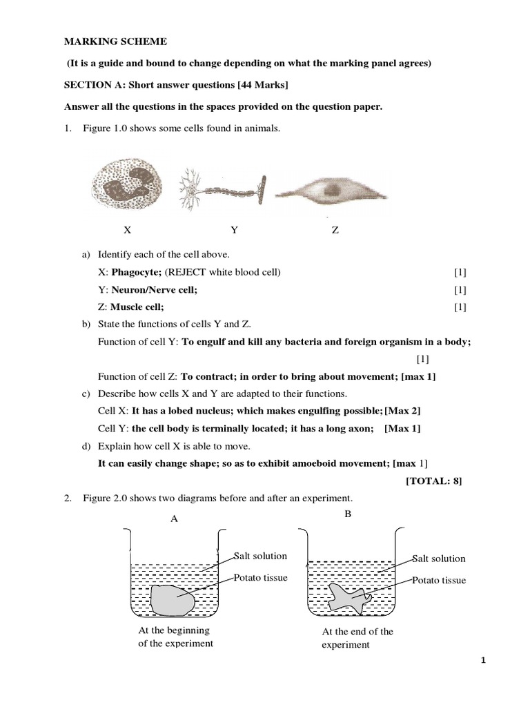 Biology Paper II Marking Scheme | PDF | Coagulation | Sexually ...