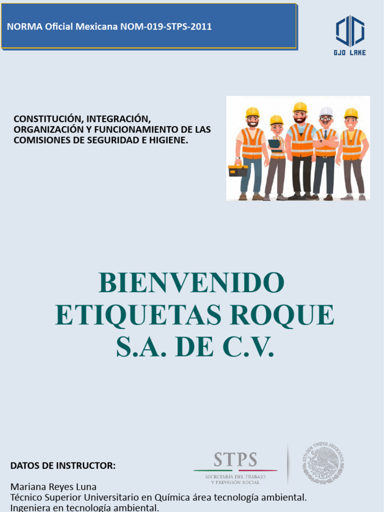 NORMA Oficial Mexicana NOM-019-STPS-2011 | PDF | Calidad (comercial)