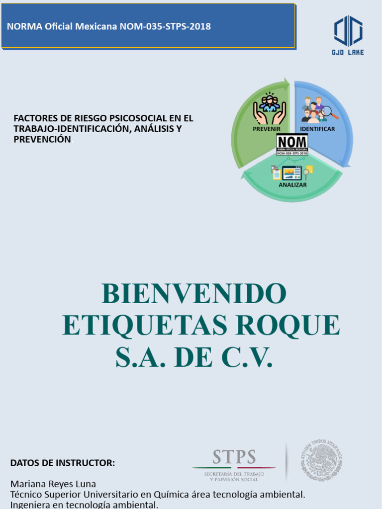 NORMA Oficial Mexicana NOM-035-STPS-2018 | PDF | Sicología | Violencia