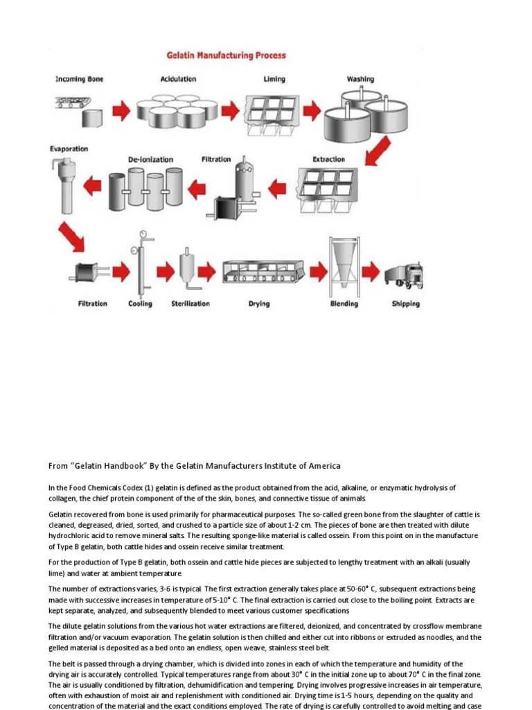 Gelatin Process Diagram & Description | PDF