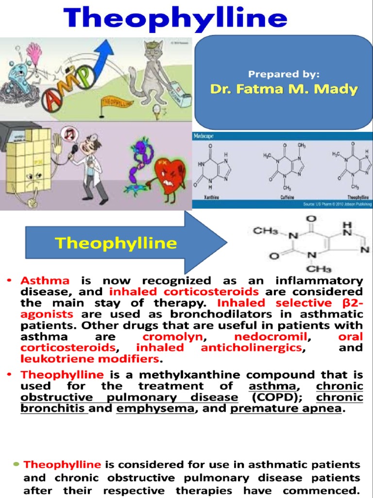 Theo Phyl Line | PDF