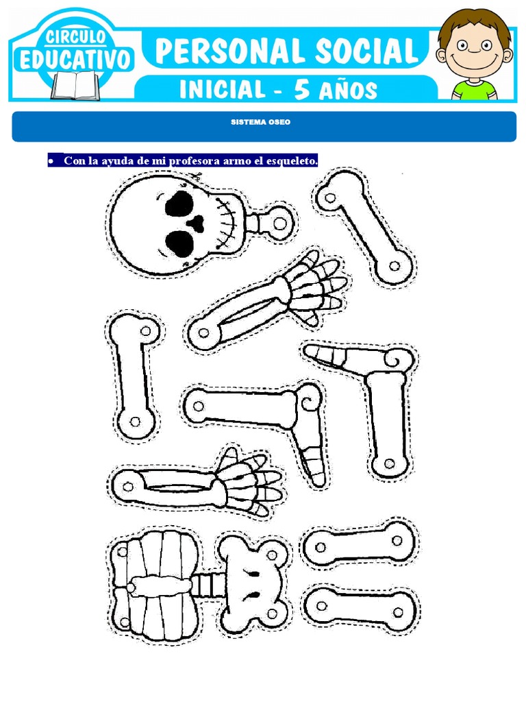 El Sistema Oseo Para Ninos De Cinco Anos Pdf