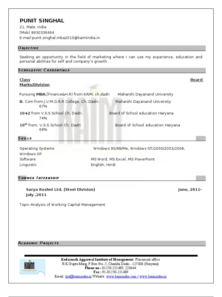 Punit Singhal CV | PDF