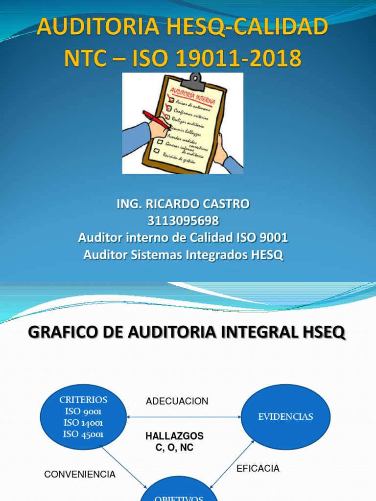 Módulo Auditoría Interna HSEQ | PDF