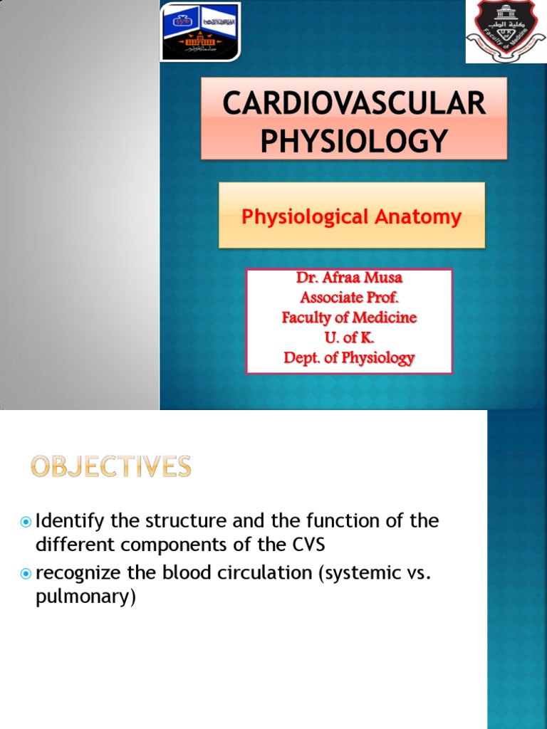 CVS 1 (Physiological Anatomy) .PDF Afraa | PDF | Heart | Heart Valve