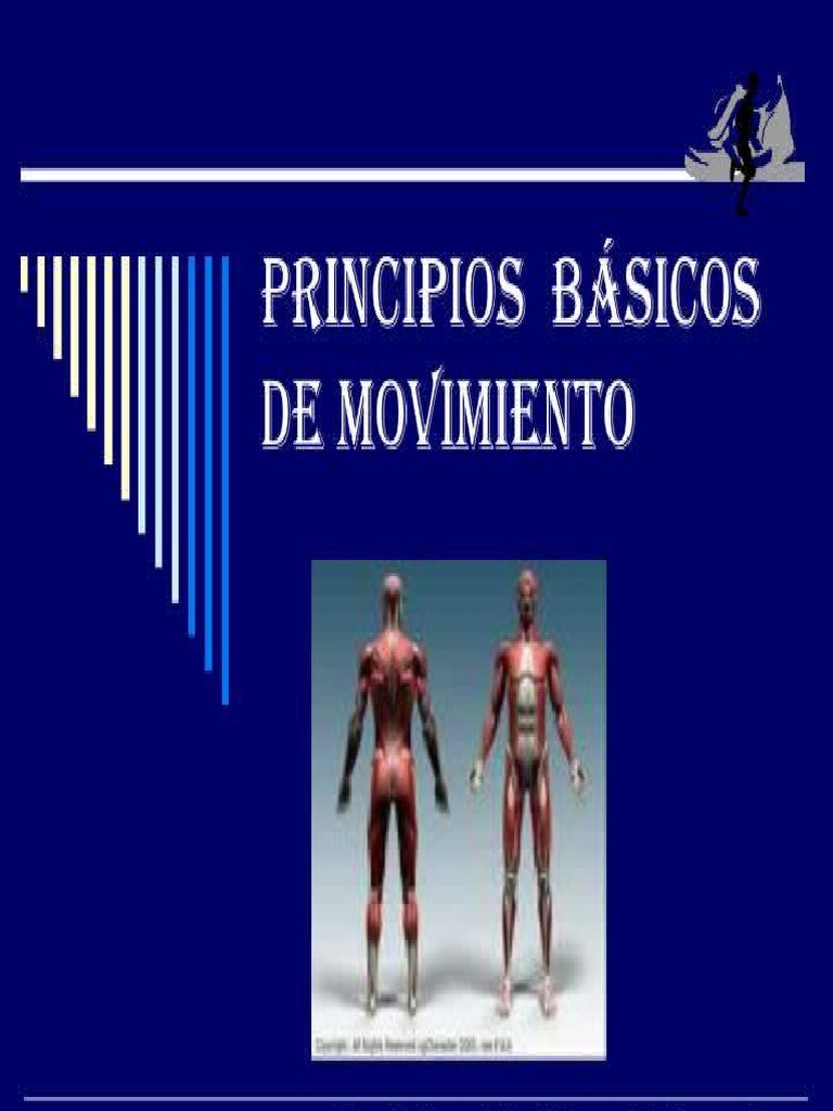 Movimiento Basico | PDF