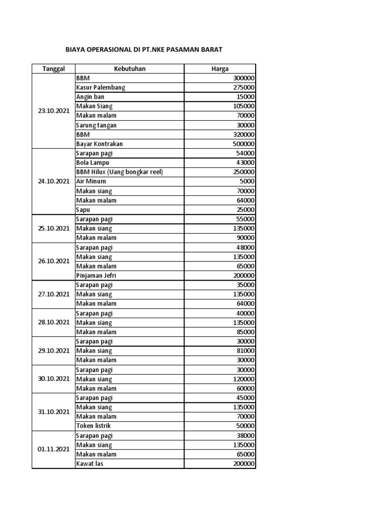 Laporan Biaya Operasional PT NKE | PDF