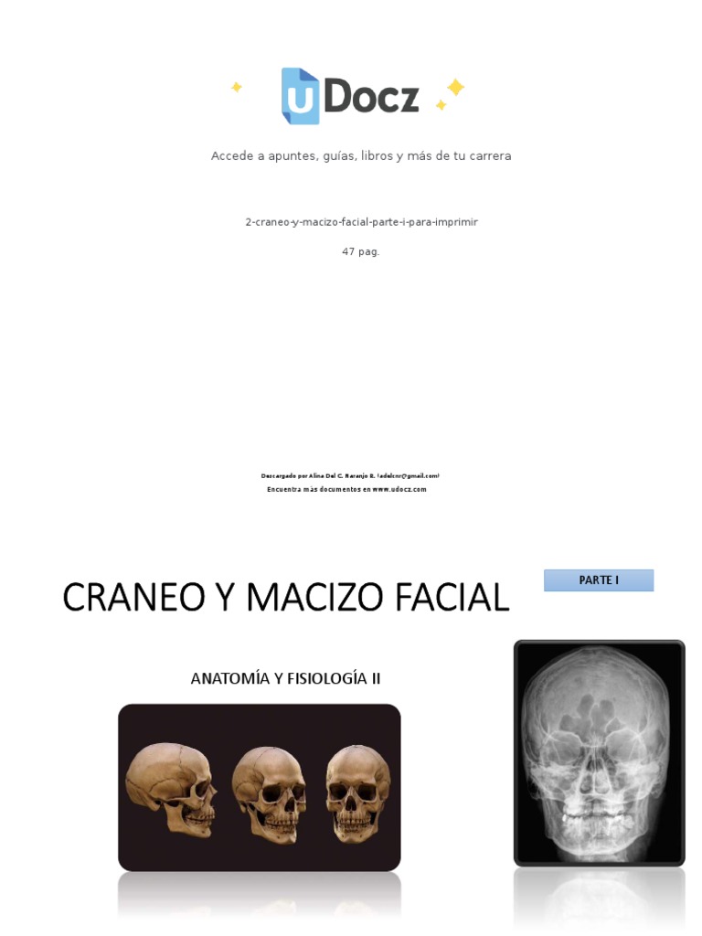 2 Craneo y Macizo Facial Parte I para Imprimir 149037 Downloable 2940659 | Descargar gratis PDF ...