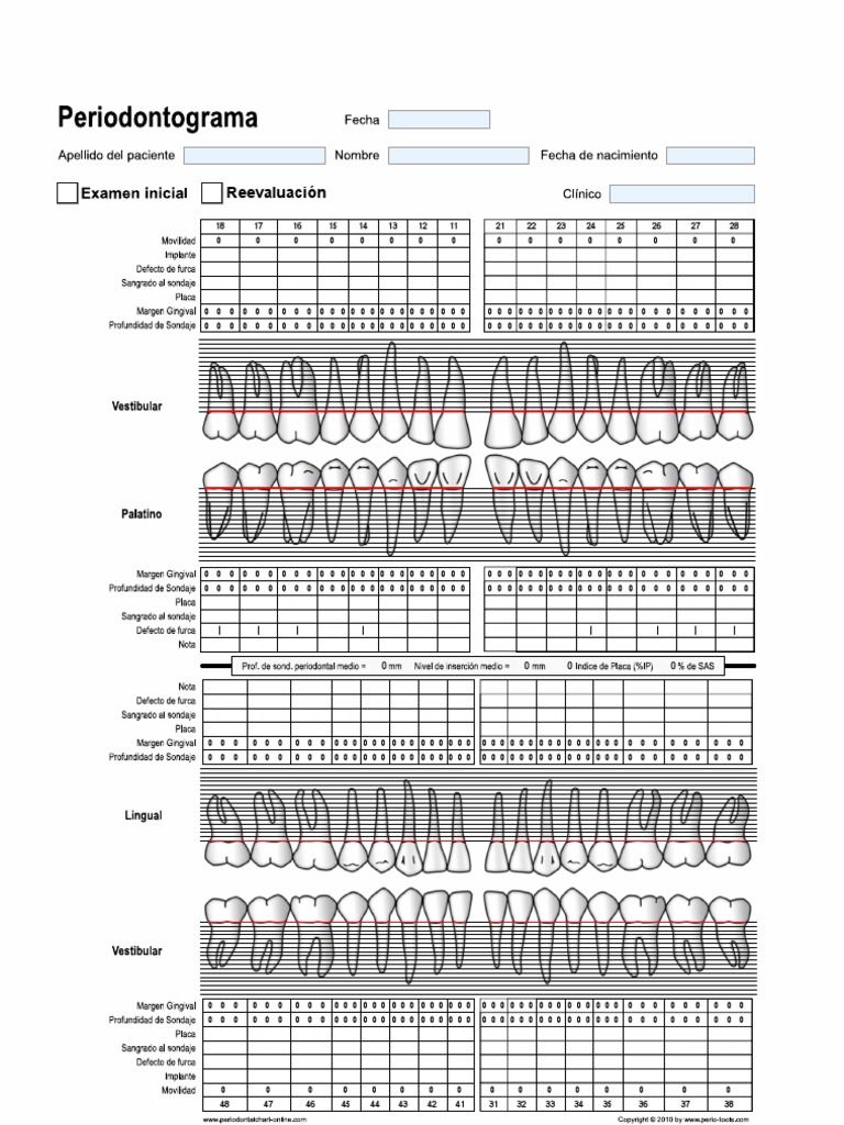 Periodontal Chart Online | PDF