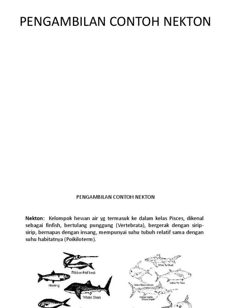 Pengambilan Contoh Nekton | PDF